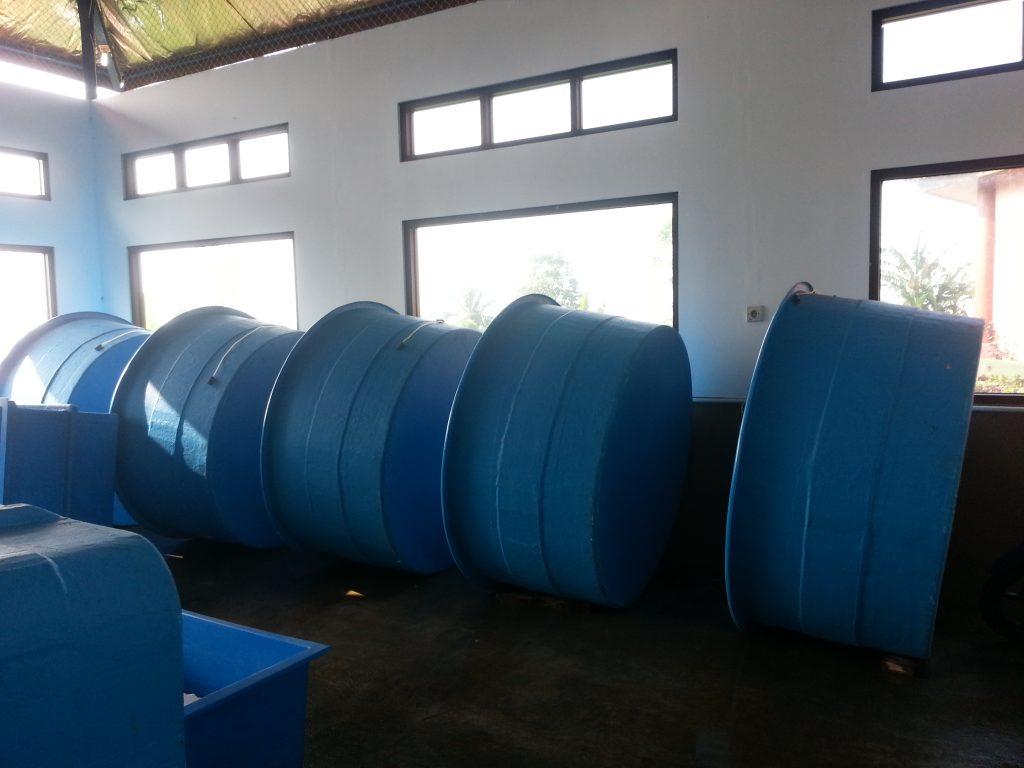 Bak Fiber Bulat - Benih Ikan Nila